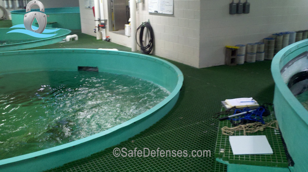 Commercial and Industrial Safety Nets Installed by Safe Defenses