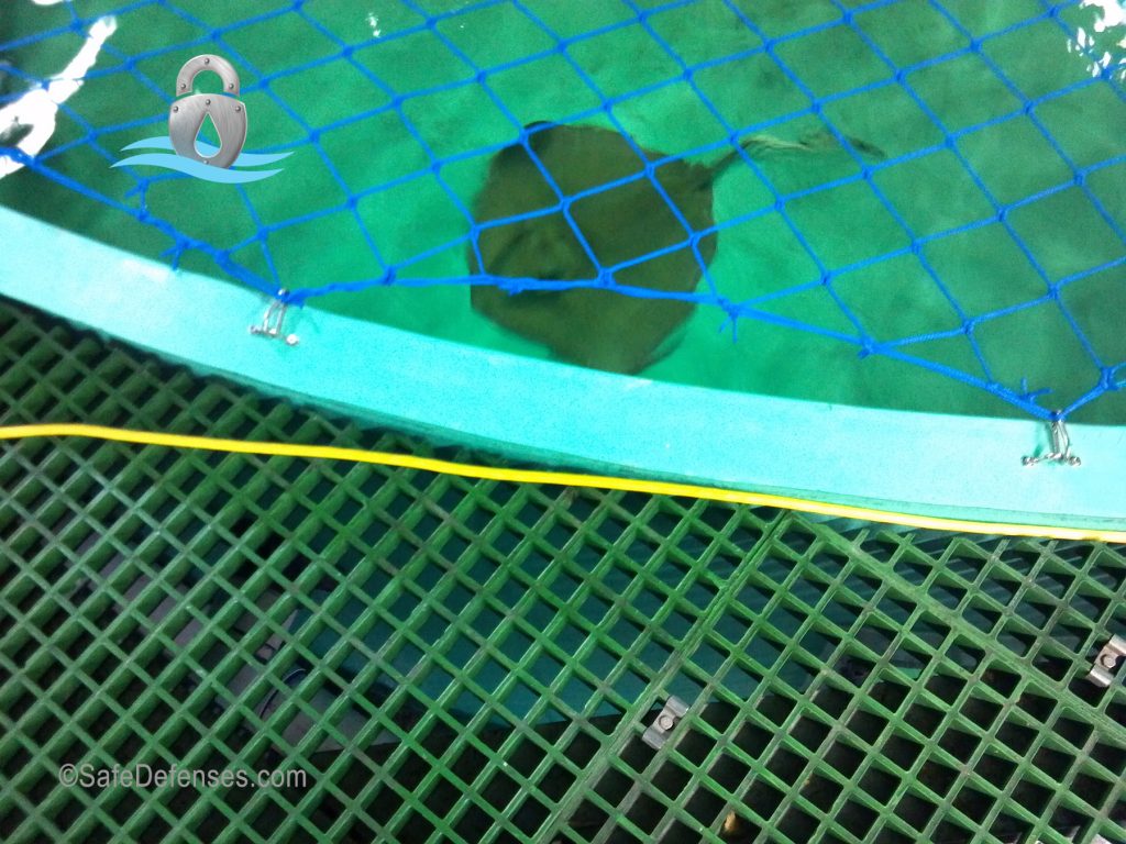 Commercial and Industrial Safety Nets Installed by Safe Defenses