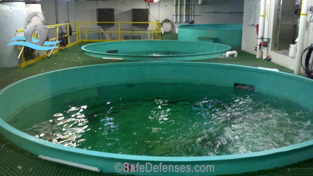 Commercial and Industrial Safety Nets Installed by Safe Defenses